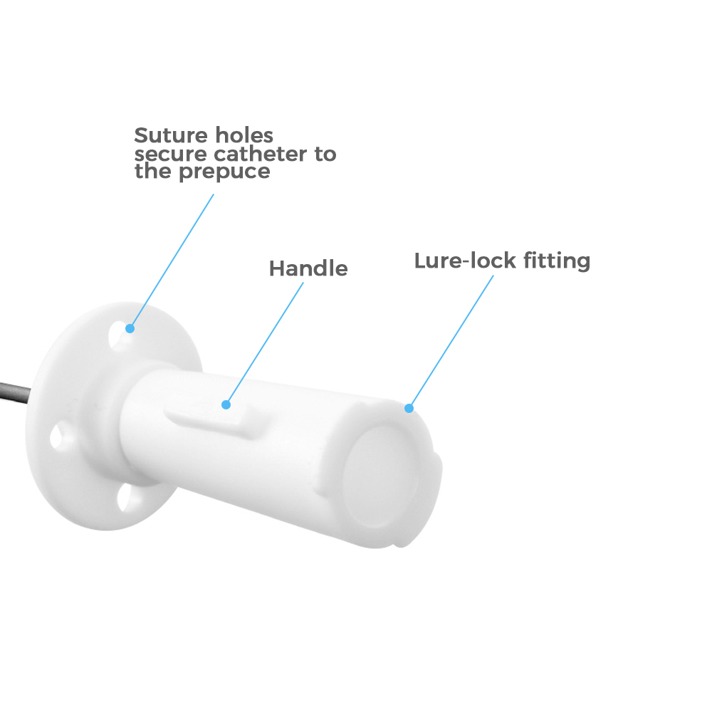 Veterinary Easy Slide Catheter Manufacturer and Supplier | KDL