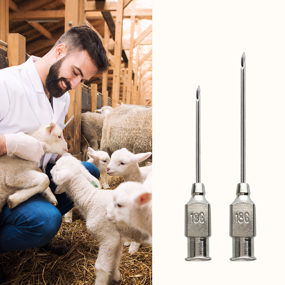 Veterinary Hypodermic Needles (Cooper Hub) | KDL