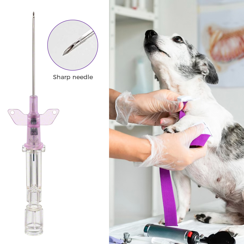 Veterinary IV Catheter Manufacturer & Supplier | KDL
