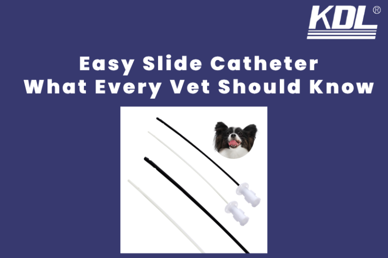 Easy Slide Catheter: Best Tips That Every Vet Should Know