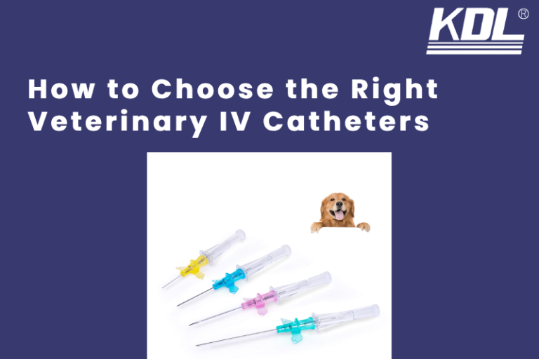 Veterinary IV Catheters: How to Pick the Best IV Catheters for Vets